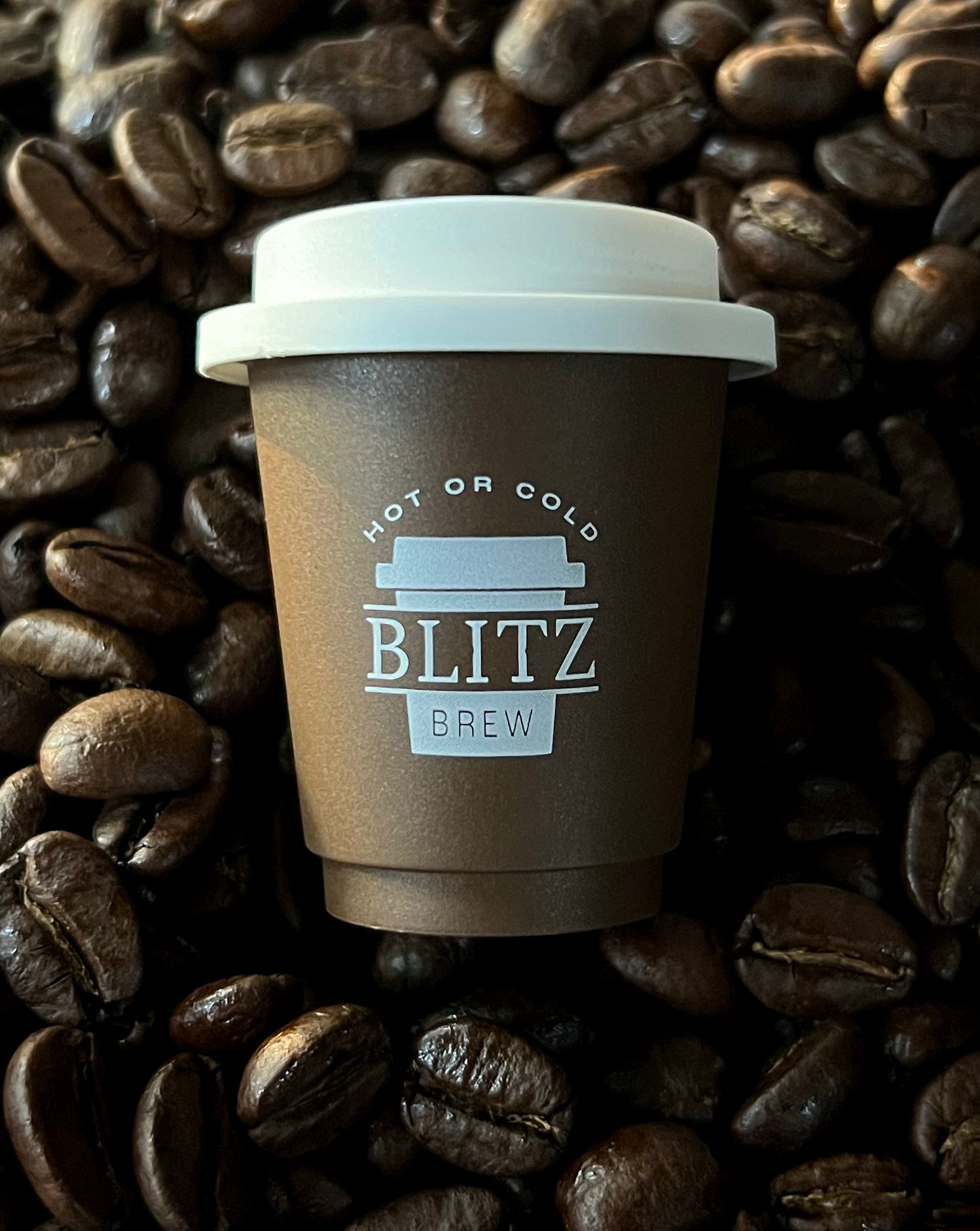 Individual Flavor 10 Packs – Blitz Brew