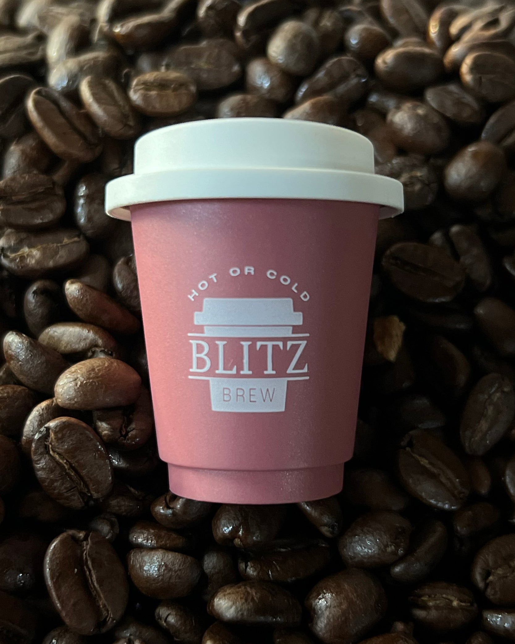 Blitz Brew Instant Freeze Dried Coffee